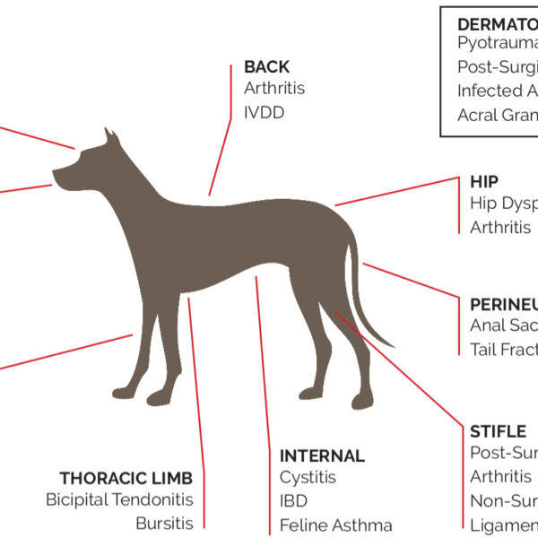 K-Laser Cube 4 V2.0 – 15W Therapy Laser - Alpha Mobility NEW ZEALAND ...